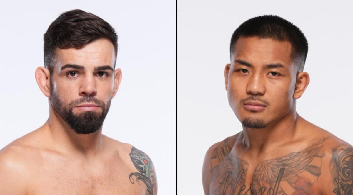 UFC 316 - Cotes de pari, Prédiction : Silva vs Van – RingSide24