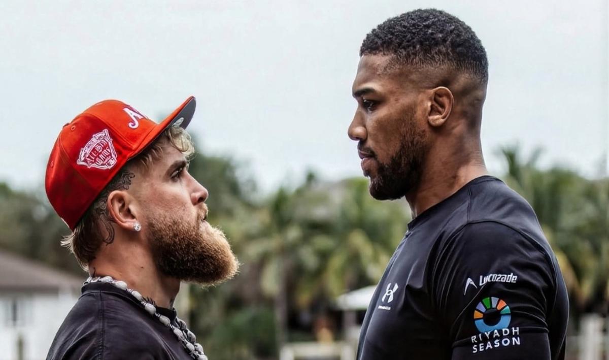 Jake Paul vs Anthony Joshua Undercard - Full Fight Card List, Schedule ...