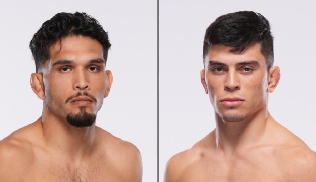 UFC on ESPN 71 - Betting Odds, Prediction: Vallejos vs Silva – RingSide24